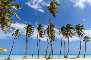 Voyages aux Caraïbes - Partez aux CaraIbes | TUI FRANCE