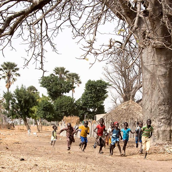 Voyage au Sénégal - Vacances au Sénégal avec TUI FRANCE